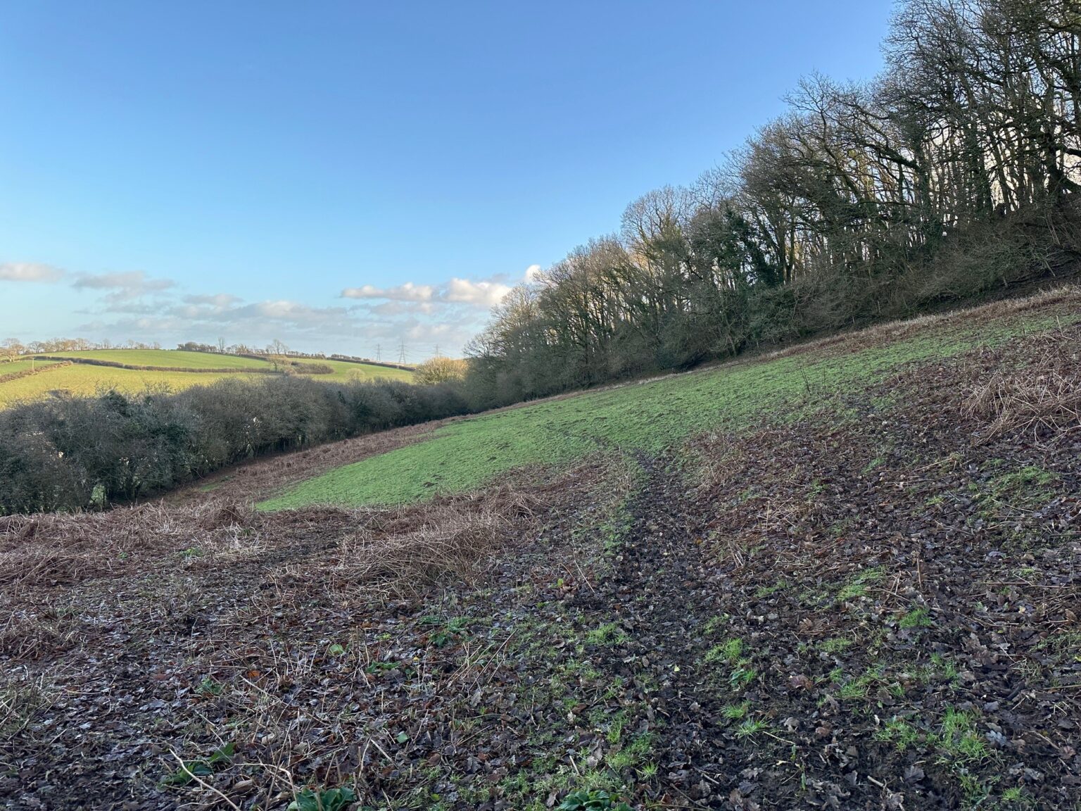 Llanddowror, St Clears - Rees Richards & Partners